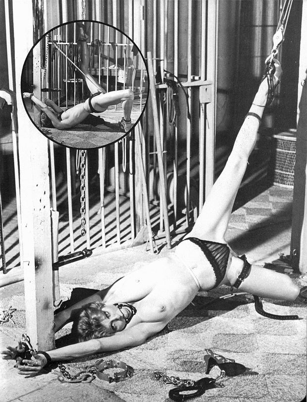 Incredible Bdsm Vintage Photo Professor Frink