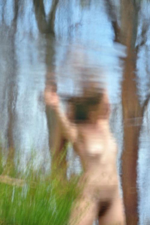 Pond Dream Pic