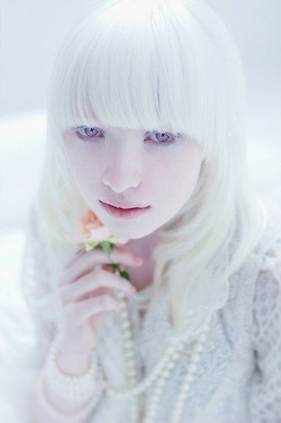 Albino Bunny 3 Pic