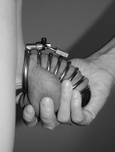 Chastity Cage Freewind 7994