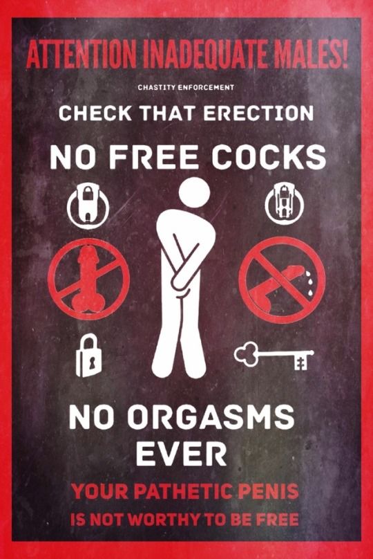 Chastity Captions Freewind