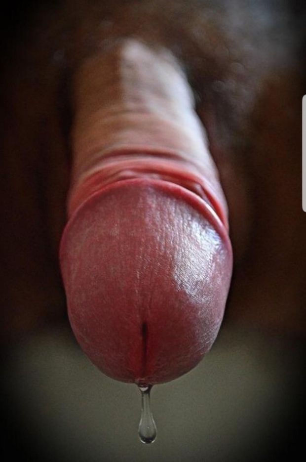 Mmmm My Obsession Ooze Mmmmmmmmmm Swoguy2