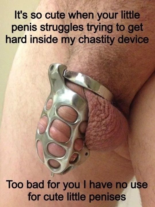 Cuck 254 Cuckqueen 4354