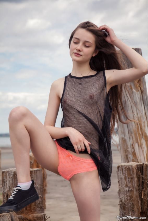 Alissa Marvel On The Beach 1 Lion869 Alissa Marvel On The Beach 1 Lion869