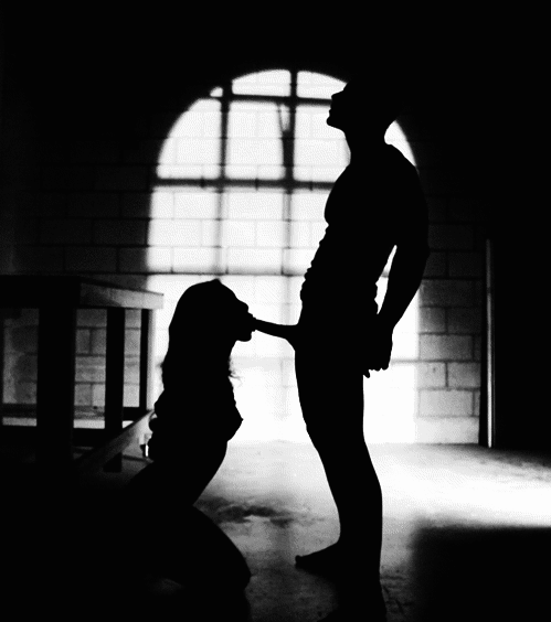 Silhouette Bj 3022