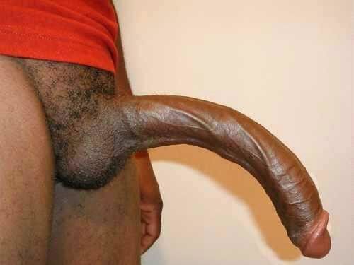 Long And Curved Tubbys1st
