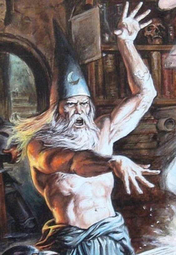 Wizard Hinu 6845