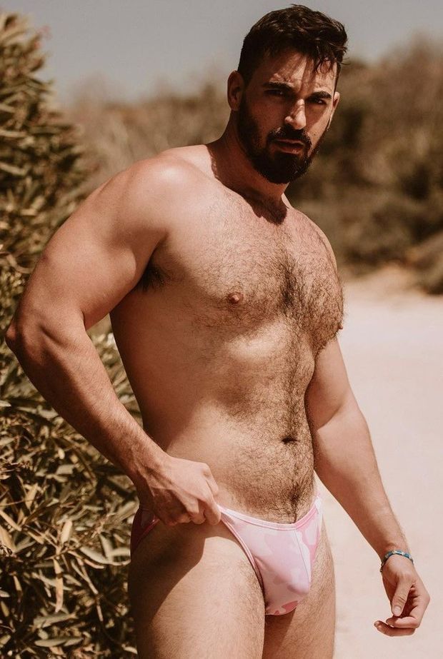 André Felipe Ferreira Diaz Phnix