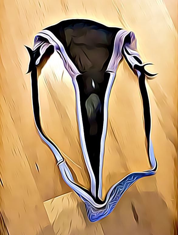 19 yo sister (Mandee) wet creamy panties on the... - brotherbear99