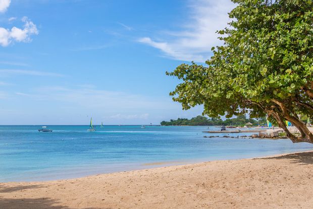 Hedonism Ii Negril Jamaica Devilangie 8210