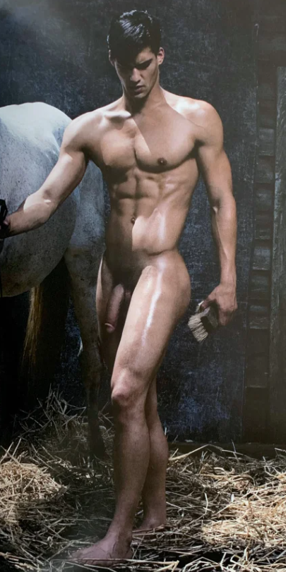 Fitness Griffo369
